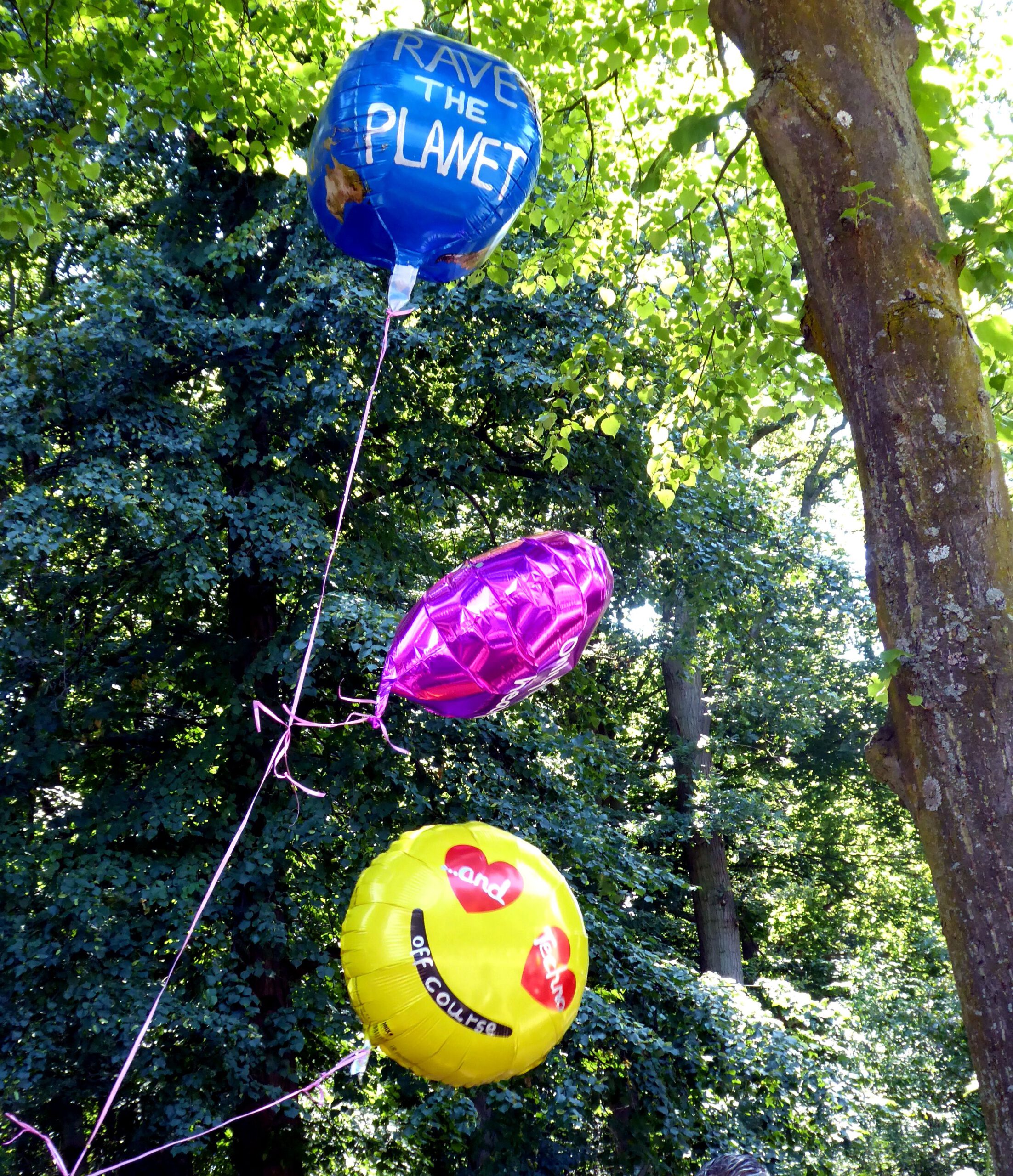 „Rave The Planet“